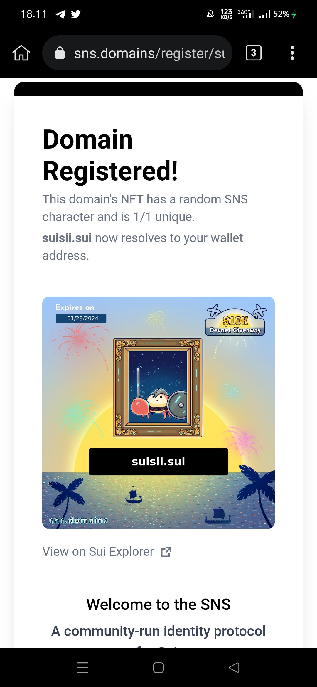 Sui Name Service Stork Just mint domain devnet , look at this picture don’t you want to have ...