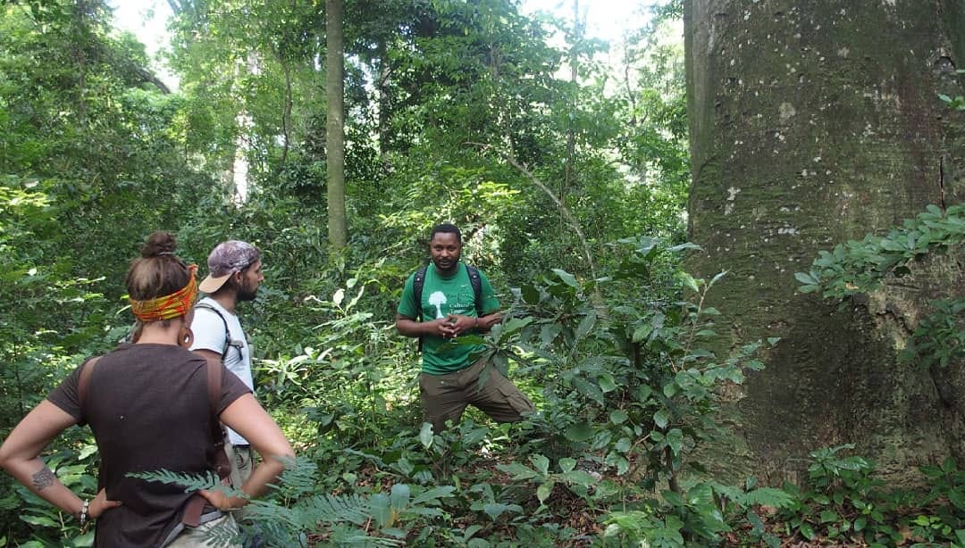 1 day materuni waterfall Things to do around Moshi with @african trek ...