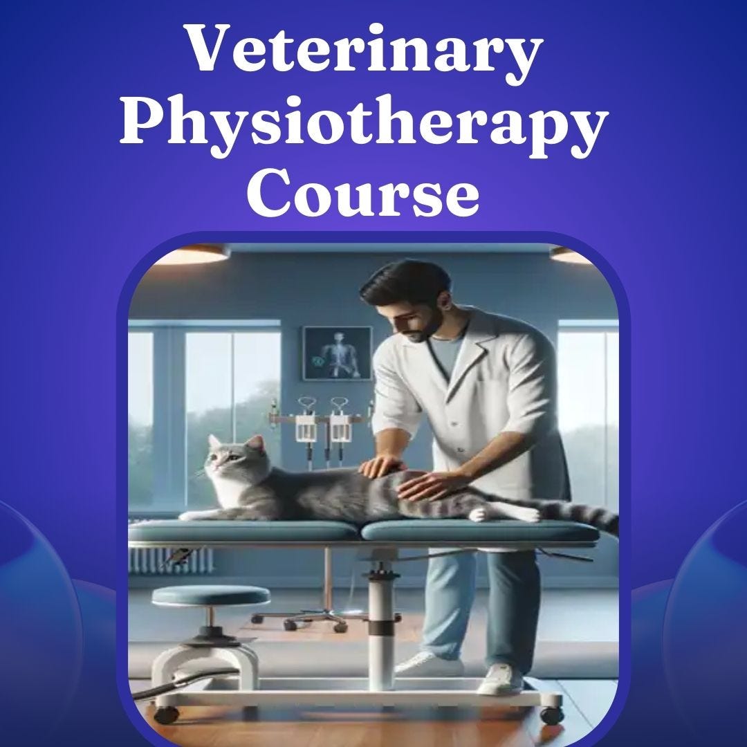 Veterinary Physiotherapy Diploma Course | by Ibrahim Shaik | Mar, 2024 ...