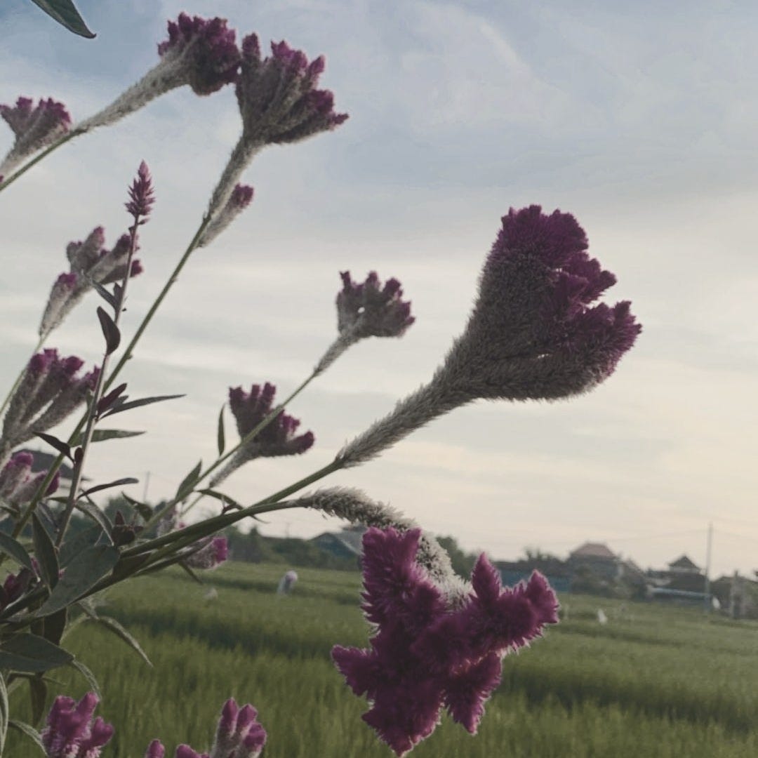 Penunggu Halte Bis. Sudah lama aku memperhatikan… | by giorji | Medium