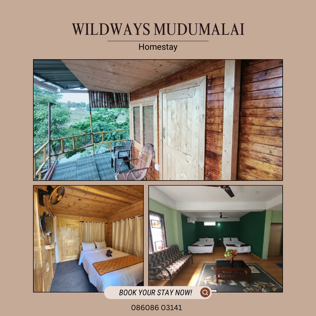 homestay in masinagudi. Welcome to Wildways Mudumalai… | by ...