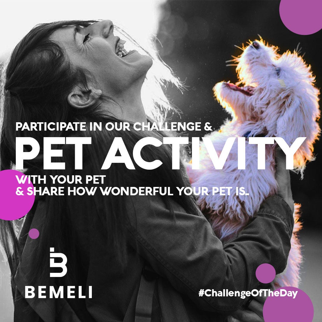 Pet activity - Bemeliappdigital - Medium