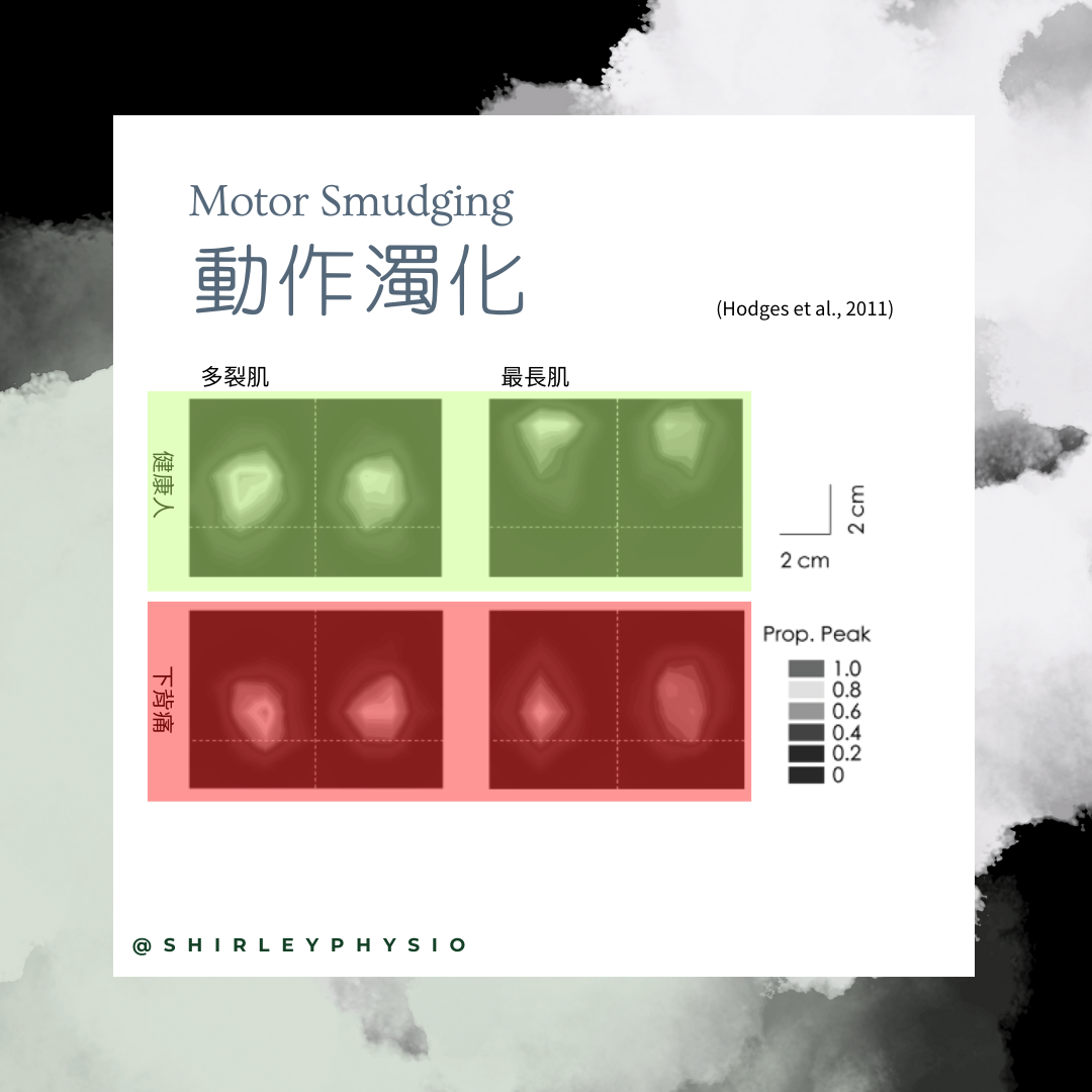 動作濁化 Motor Smudging - Shirley Physio 賴冠帆物理治療師 - Medium