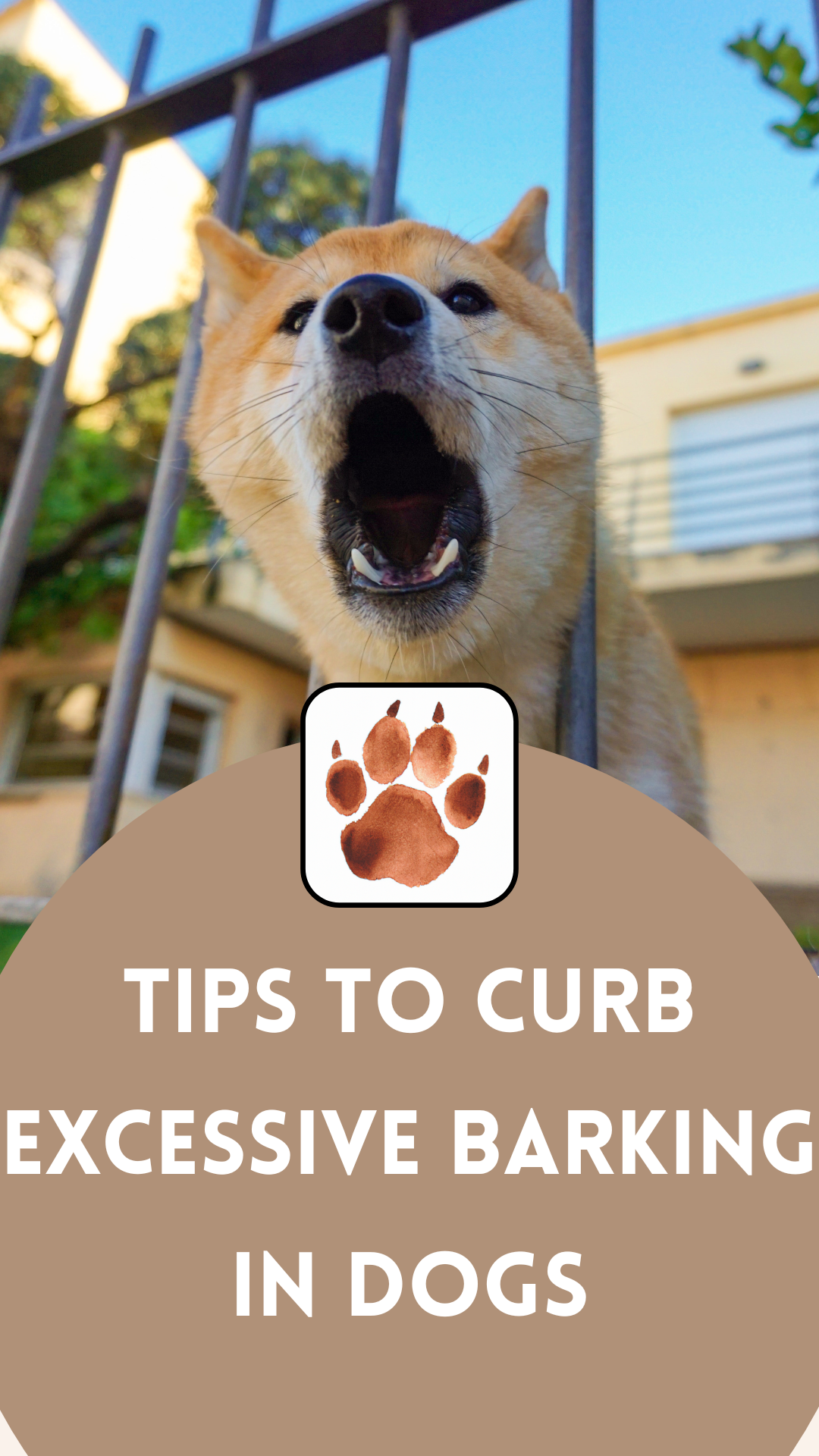 Quieting the Storm: 7 Tips to Curb Excessive Barking in Dogs | by ...