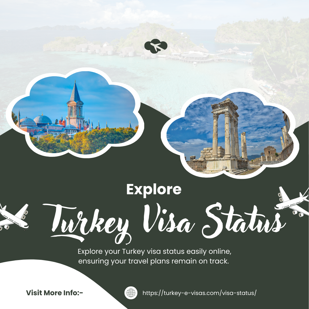 🌍 ️ Check Your Turkey Visa Status Online! 📲🧳 - Seodigitalmarket - Medium