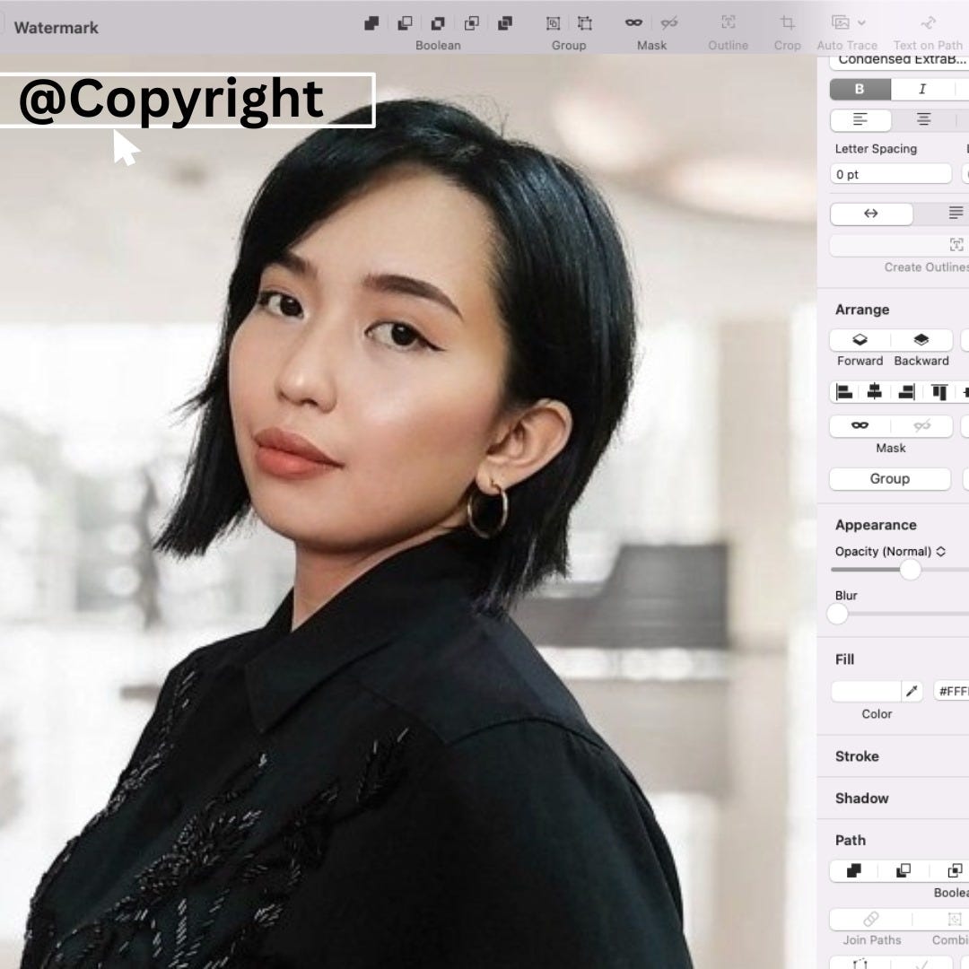Balancing Watermark Visibility with Image Aesthetics | by Jahida ...