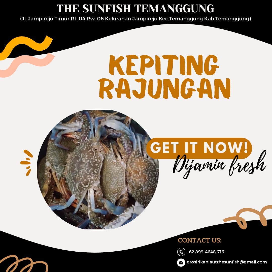 KEPITING RAJUNGAN. Rajungan adalah nama sekelompok… | by ...