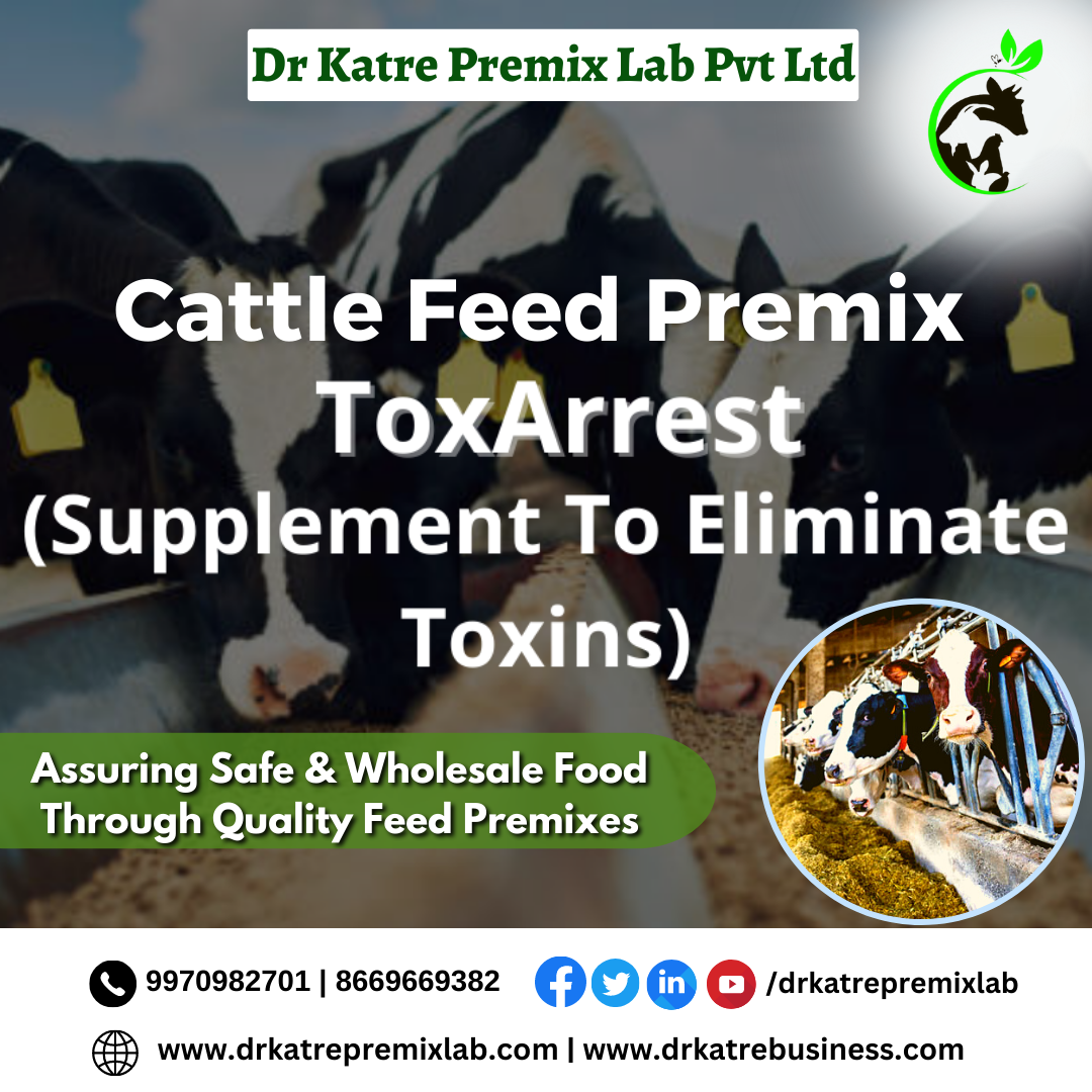 Cattle feed Premix and Concentrates from India | by drkatrepremixlab ...