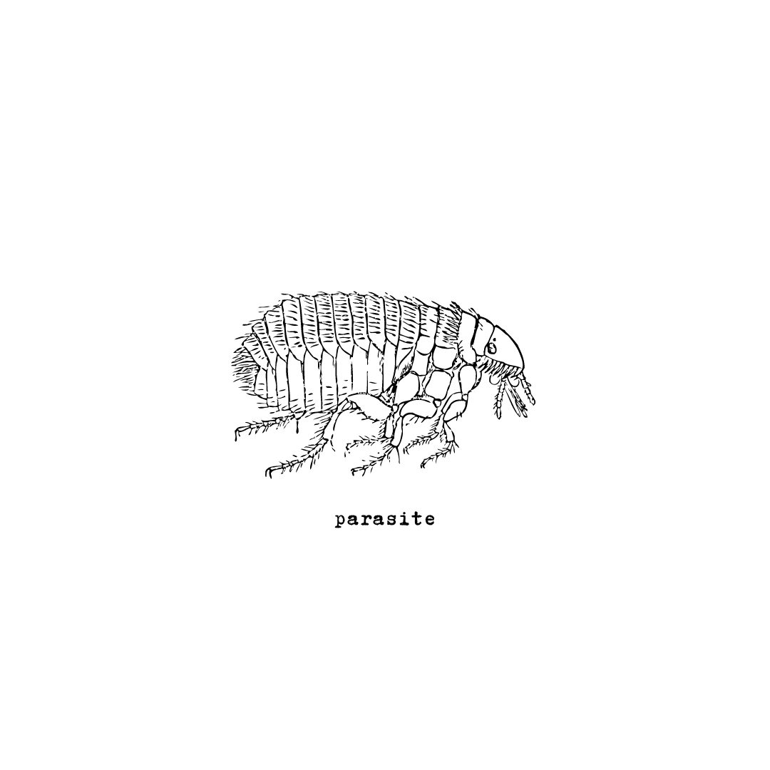 Parasite. Born and Forfeited | by AVG | The Black Veil | Medium