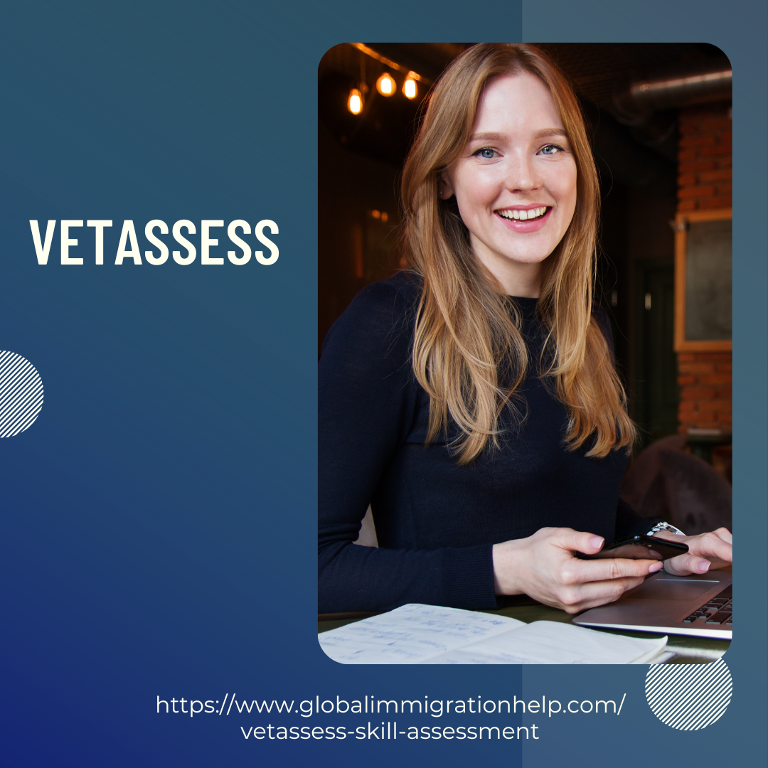 VETASSESS Skills Assessment for Skill Development | by Global ...