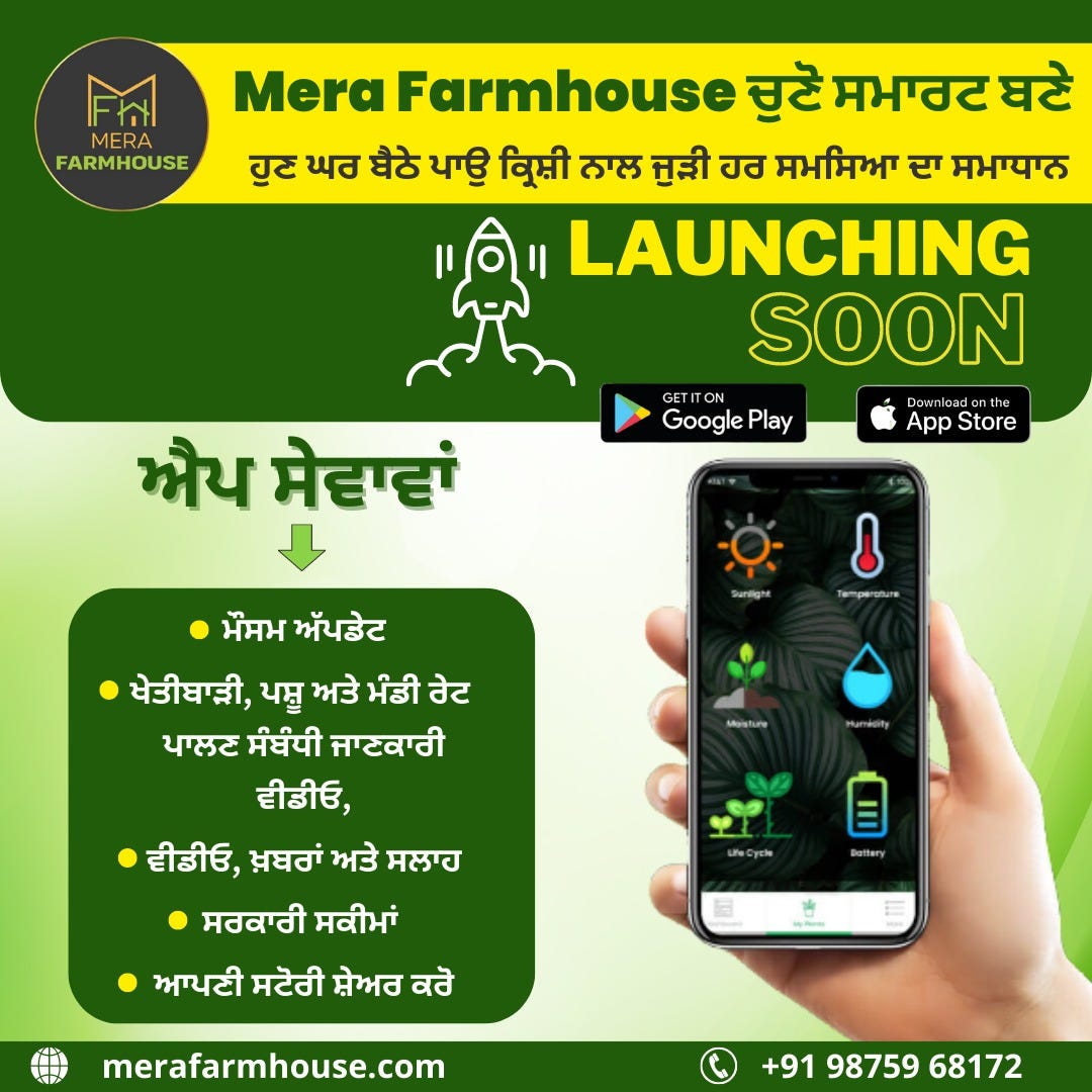 MERA FARM HOUSE कृषि ऐप. 🚜 MERA FARM HOUSE 👨‍🌾 कृषि ऐप… | by Merafarmhouse | Medium