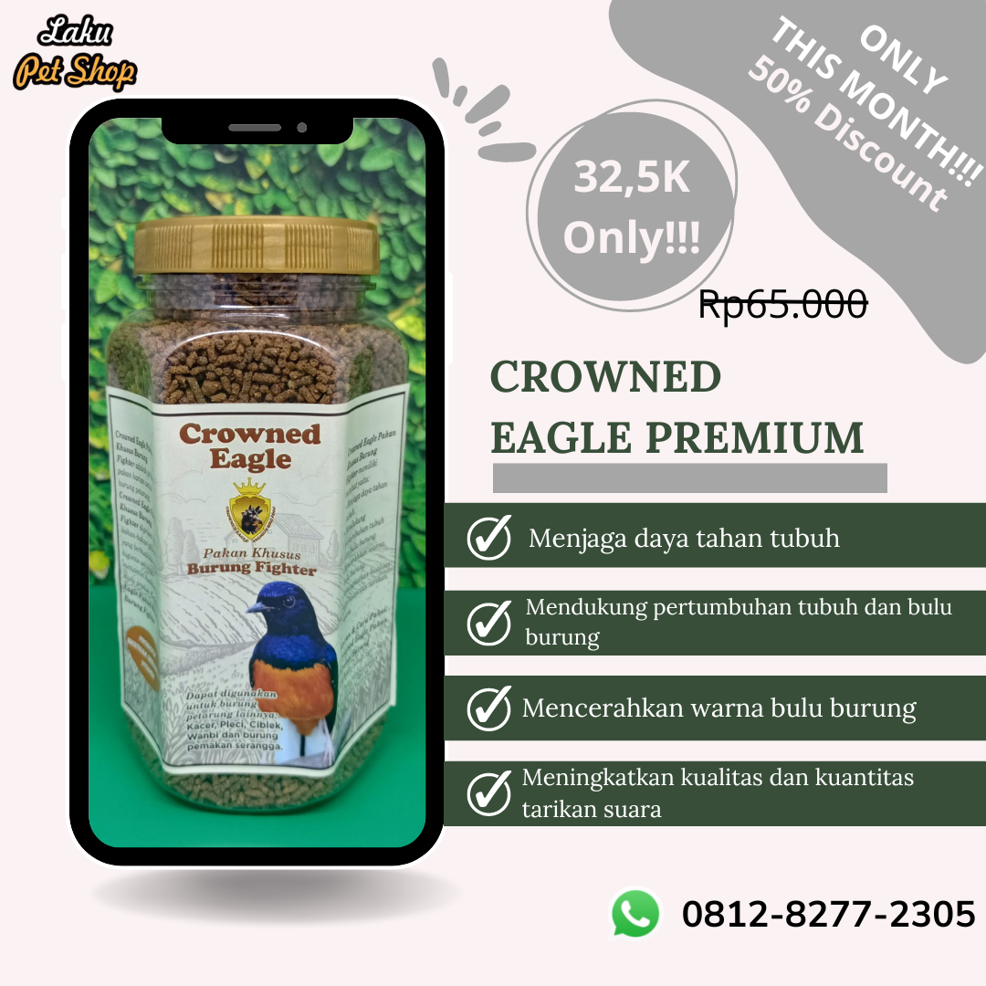 Jual Pakan Burung Murai. Terbaik | by Distribpakanlakupetshop | Medium
