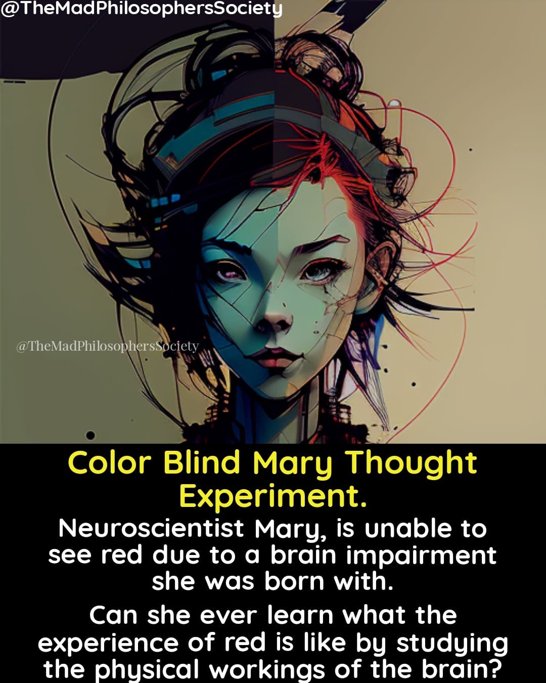 a-thought-experiment-against-materialism-by-the-mad-philosophers