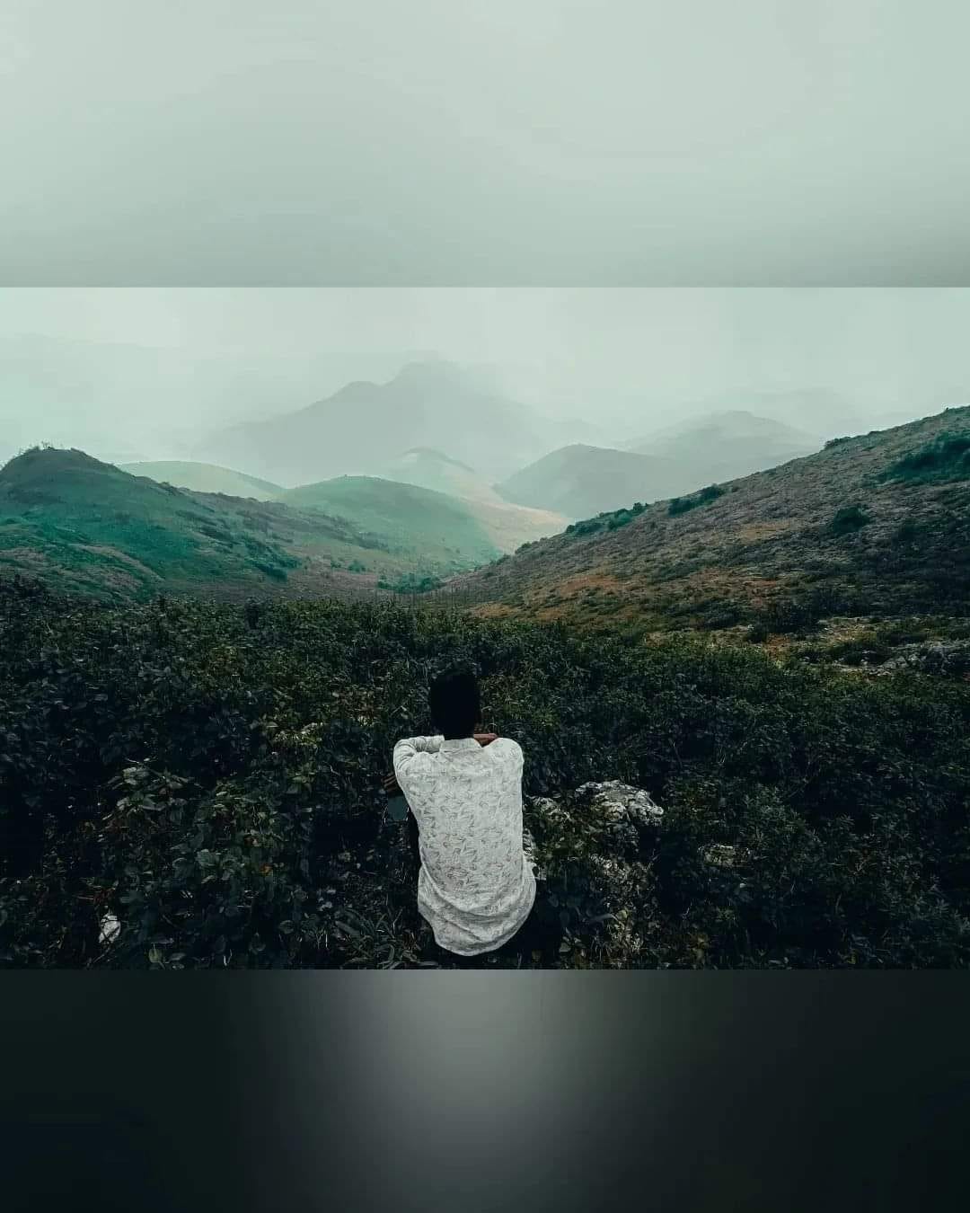 Do You Speak with Nature? Does Nature Retort? | by Jenat Tishaliny | Medium