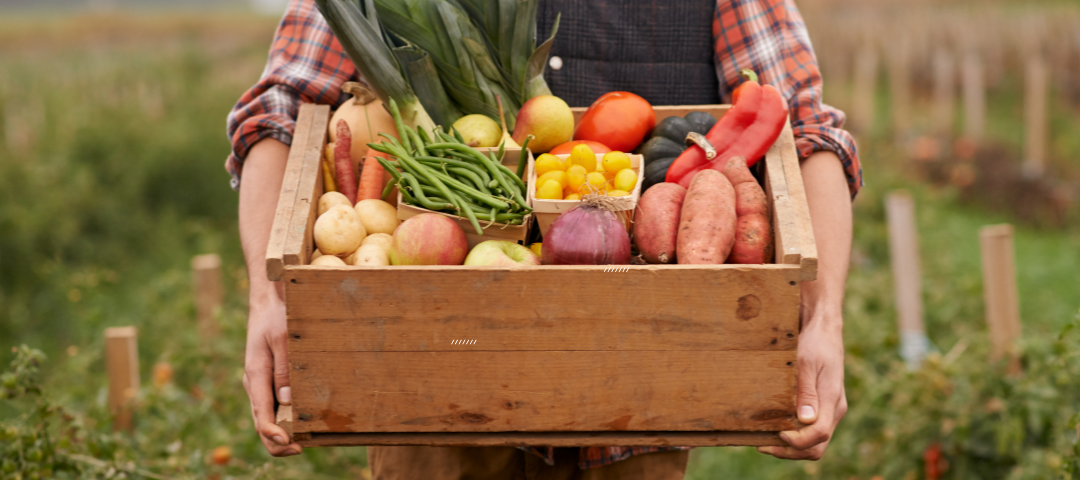 From Farm to Fork: The Importance of Sourcing High-Quality Ingredients ...
