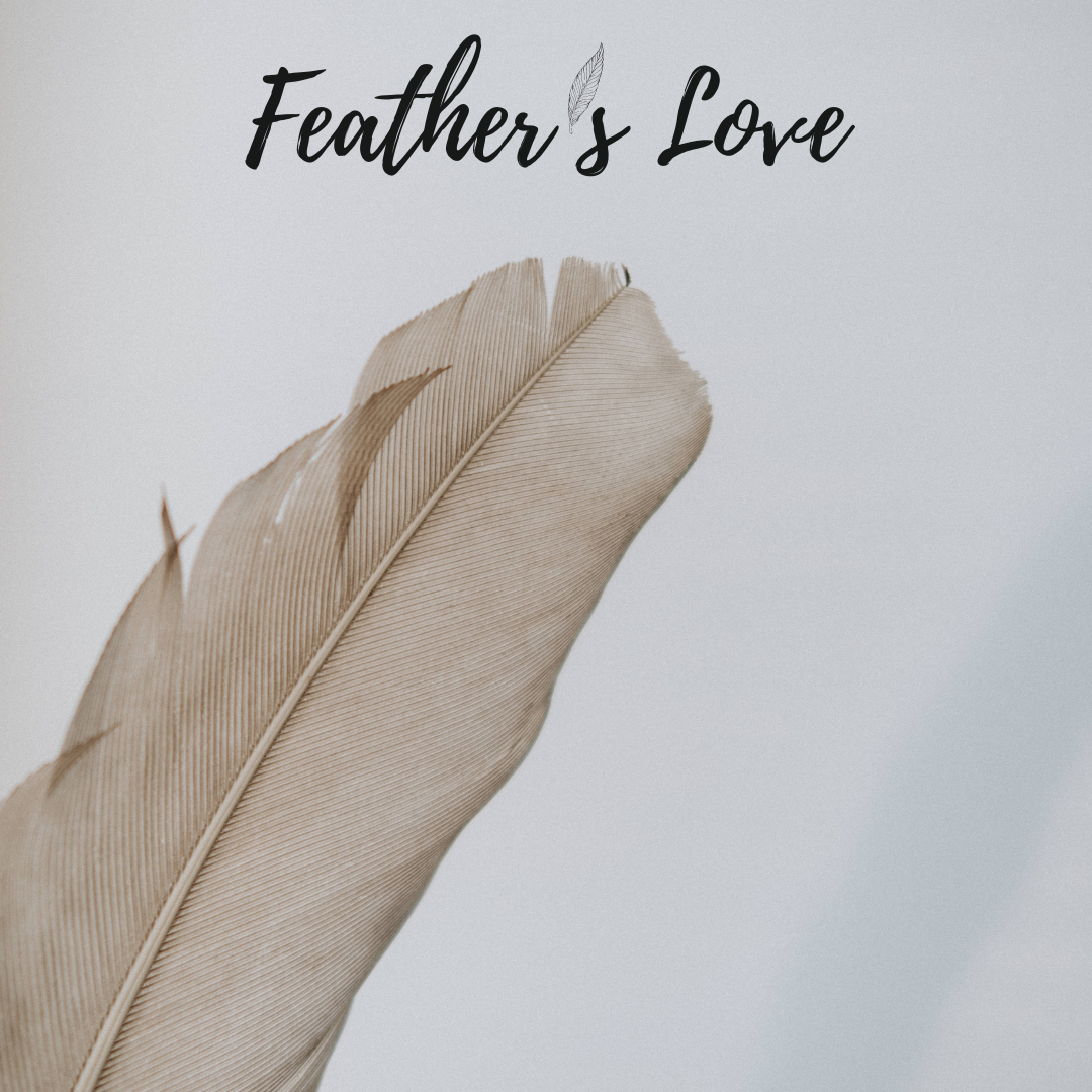 Feather’s Love. I always imagined what feathers thought… | by Aryan ...