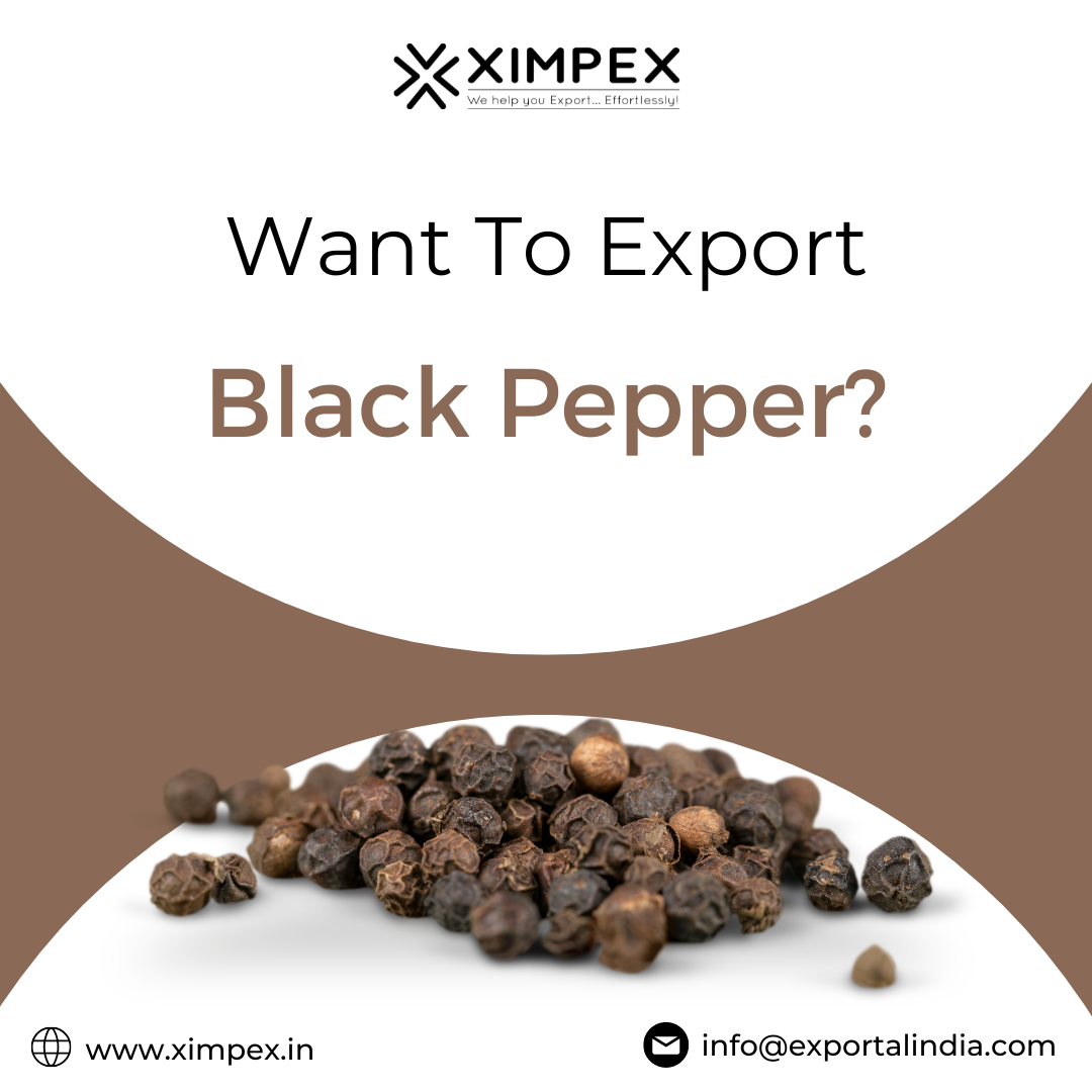 Want to Export Black Pepper? - XIMPEX - Medium