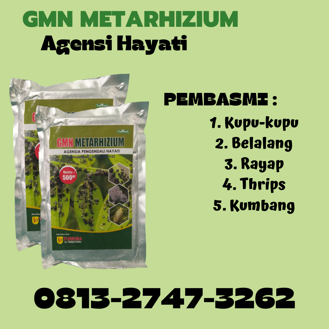 ORGANIK! 0812–2882–4834 Toko Insektisida Kutu Putih Parit Malintang ...