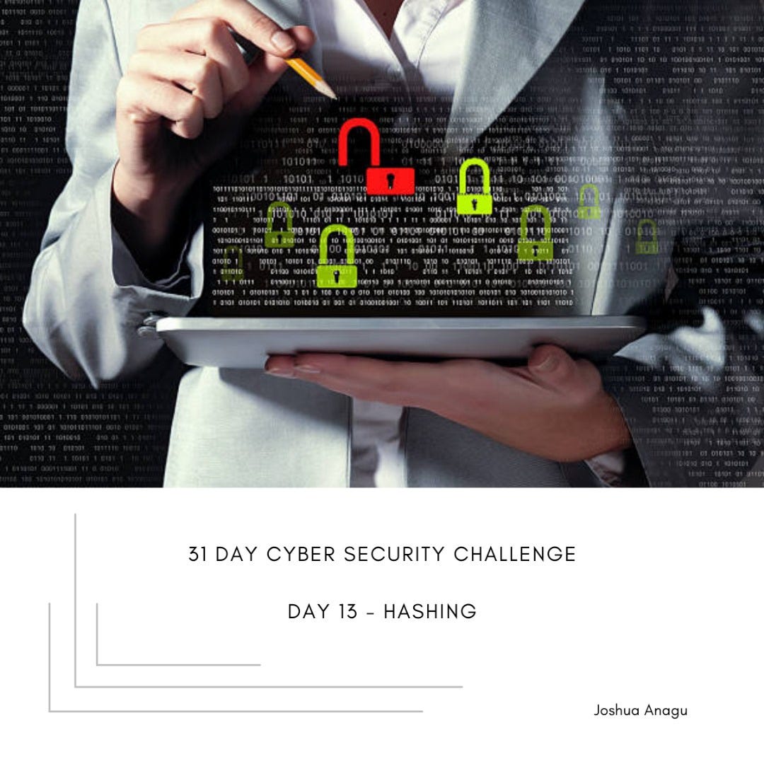 Day 13 of 31 Day Cyber Security Challenge | by Joshua Anagu | Medium