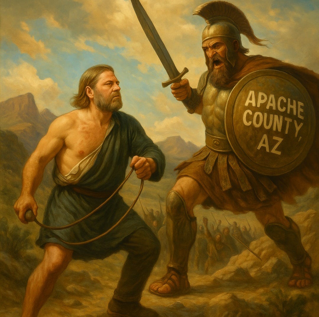 David vs. Goliath: How a Pro Se Litigant Beat Both the Defense and the ...