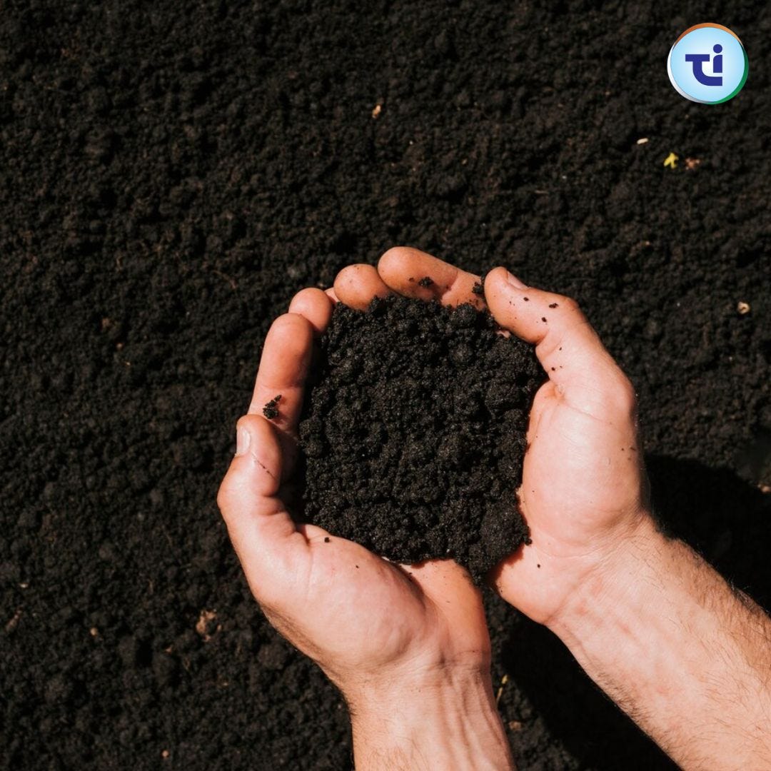 About Black Soil. When it comes to the natural resources… | by The ...