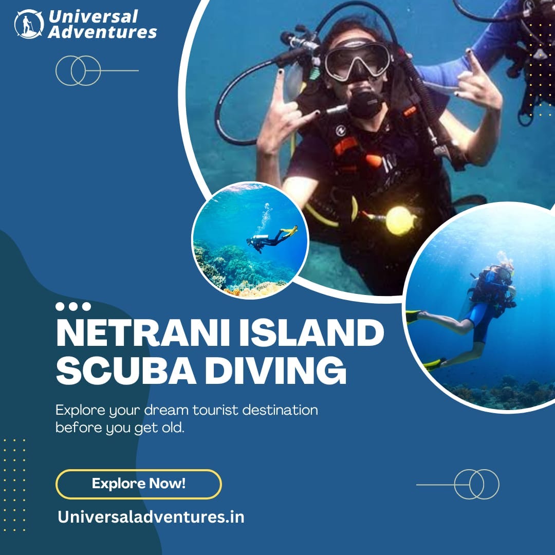 A Haven for Divers and Nature Enthusiasts — Netrani Island | by Alok ...