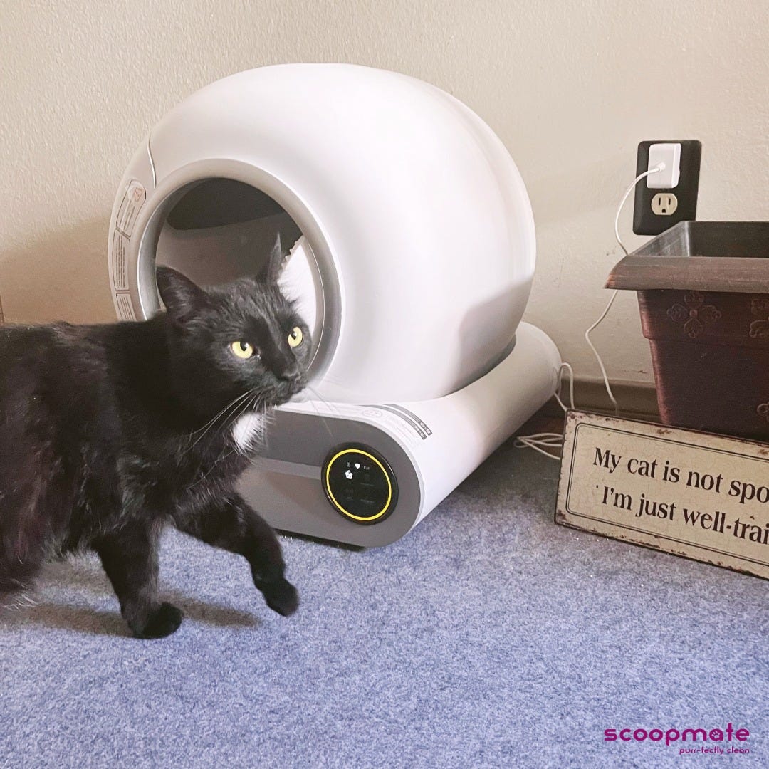 Get the Best Bang for Your Buck: Affordable Automatic Litter Box by ScoopMate | by Scoop Mate ...
