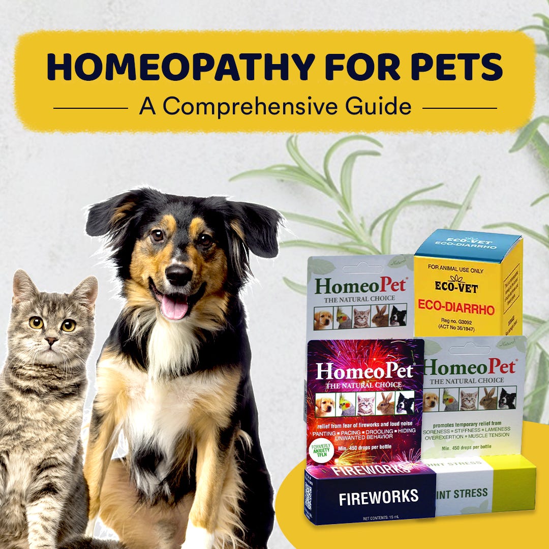 Homeopathy for Pets: A Comprehensive Guide | by Laytonalice | Apr, 2024 ...