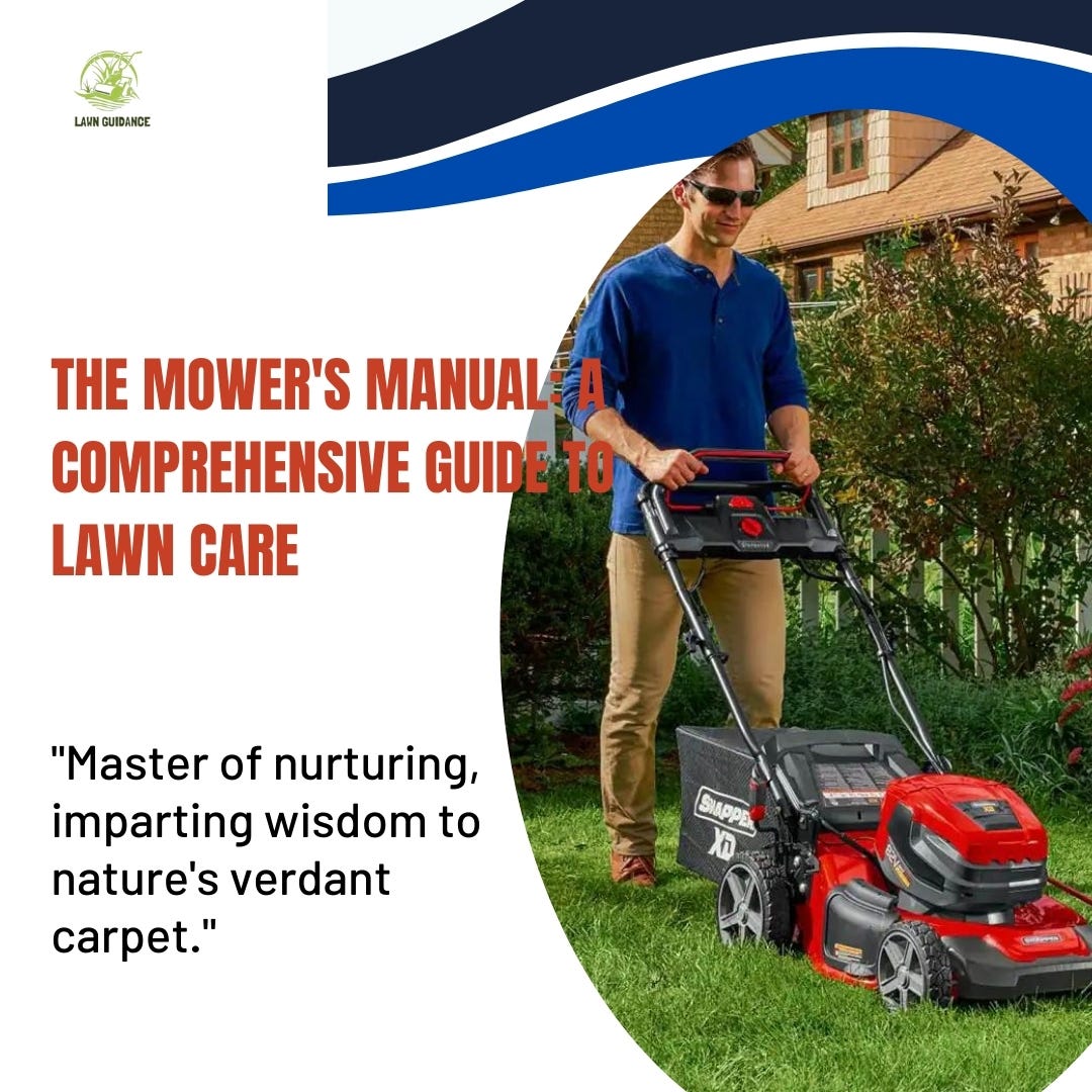 A Comprehensive Guide to Lawn Care - James M. Chew - Medium