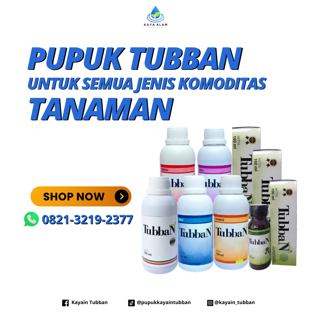 Pupuk Kayain Tubban - Kayain Tubban - Medium Pupuk Kayain Tubban - Kayain Tubban - Medium