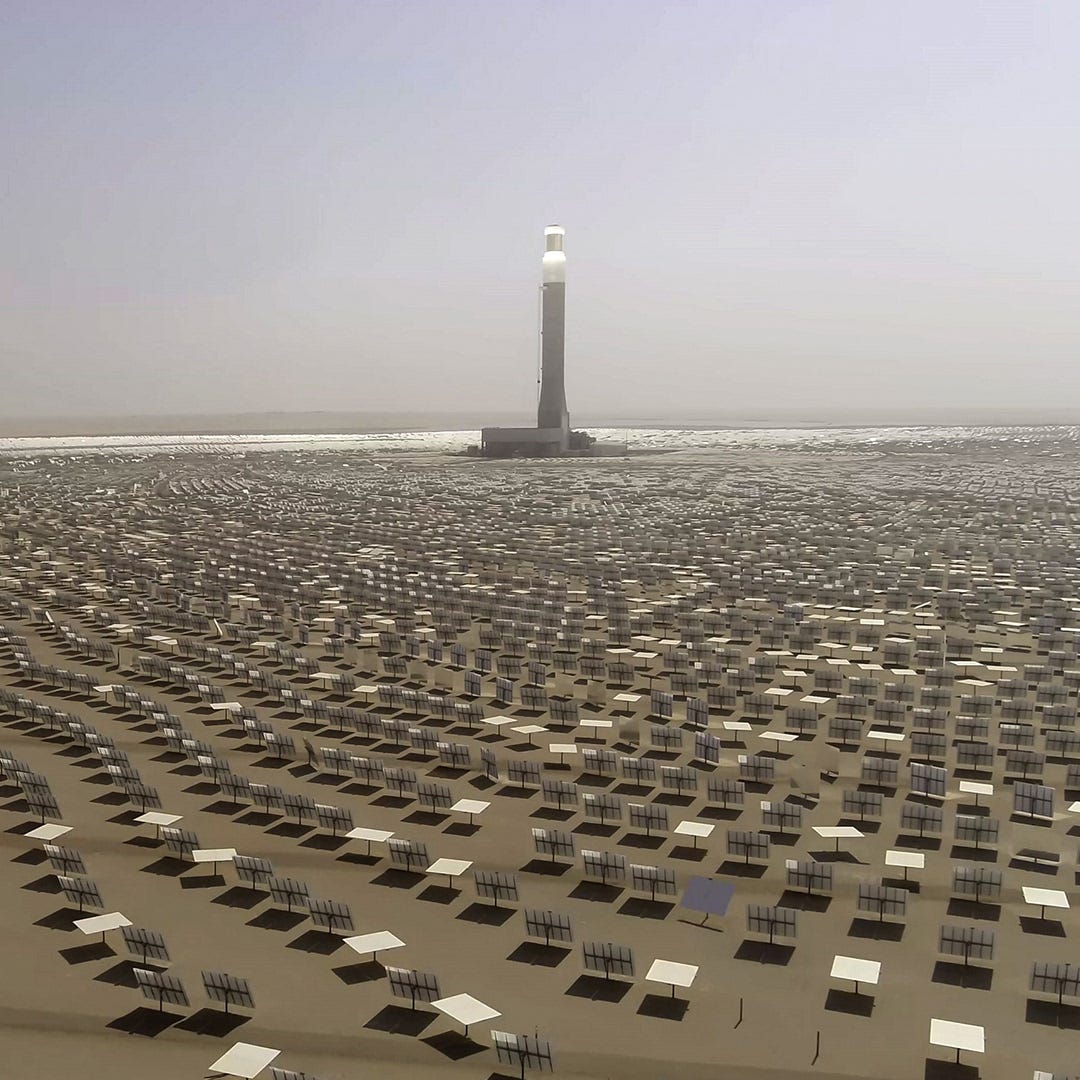 UAE President Champions Key Role in Sustainability on World Environment ...