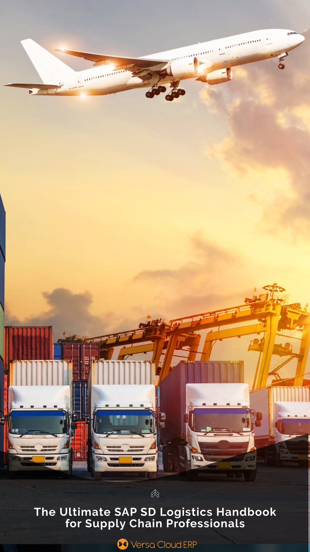 The Ultimate SAP SD Logistics Handbook for Supply Chain Professionals ...