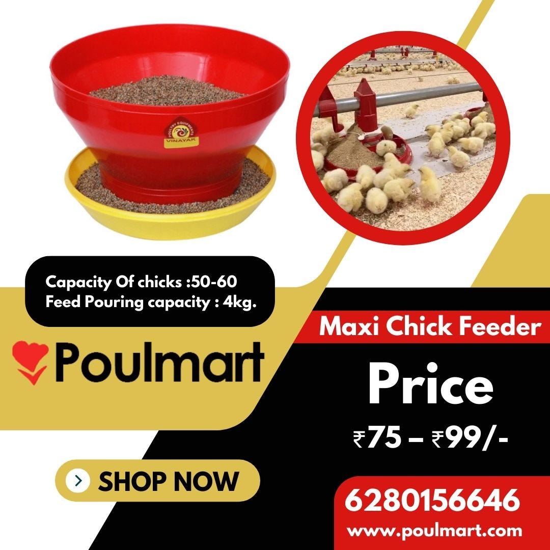 Maxi Chick Feeder - Poulmart India - Medium
