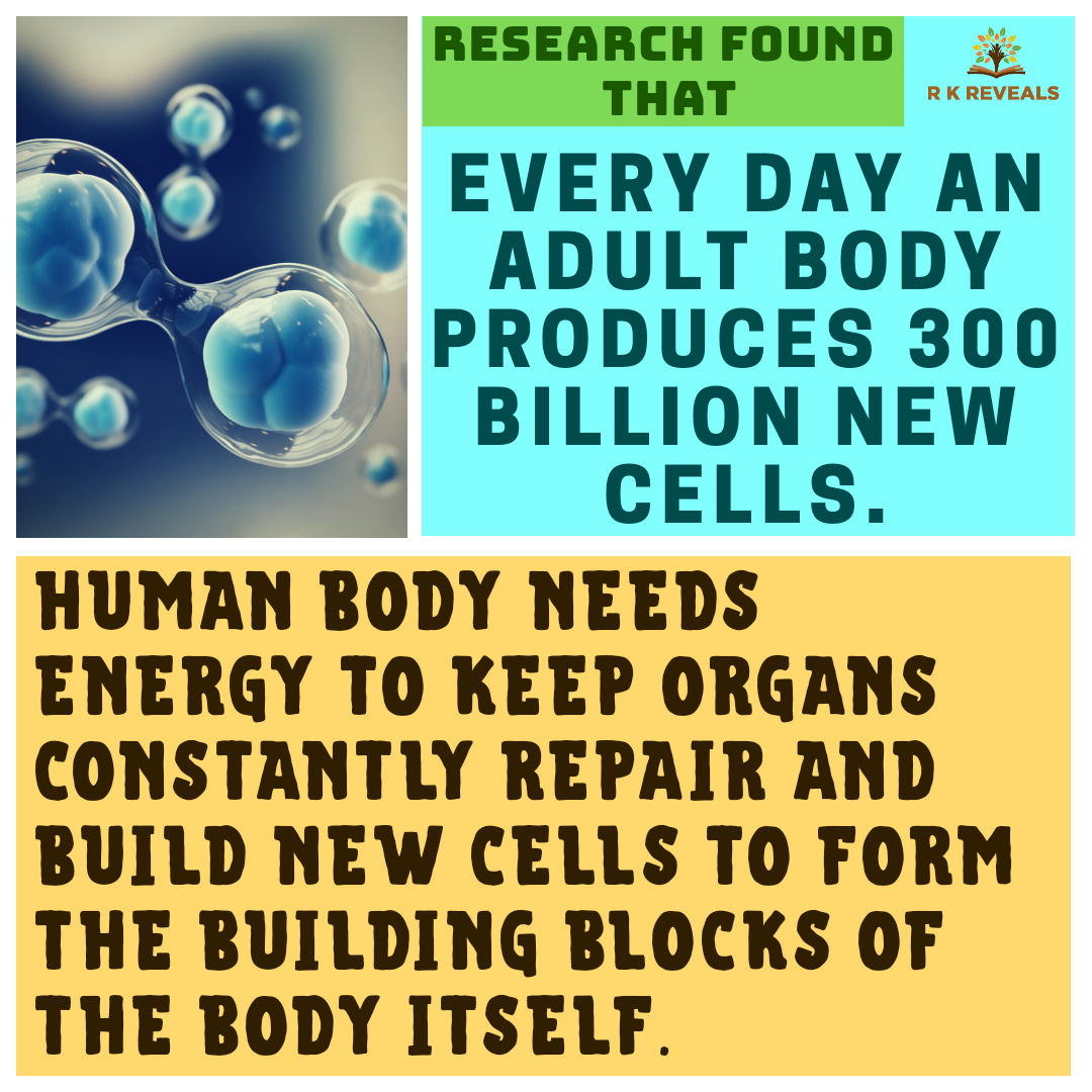 300 Billion New Cells | by R K Reveals | Medium