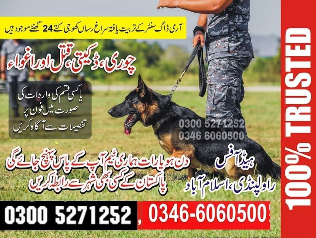 Army Dog Center Taxila 03115371200 - Army Dog Center - Medium