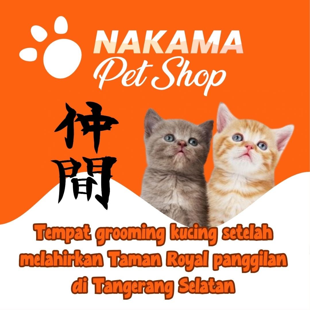 0819–1988–9899 (HALUS GLOWING), Salon grooming kucing garang Batuceper ...