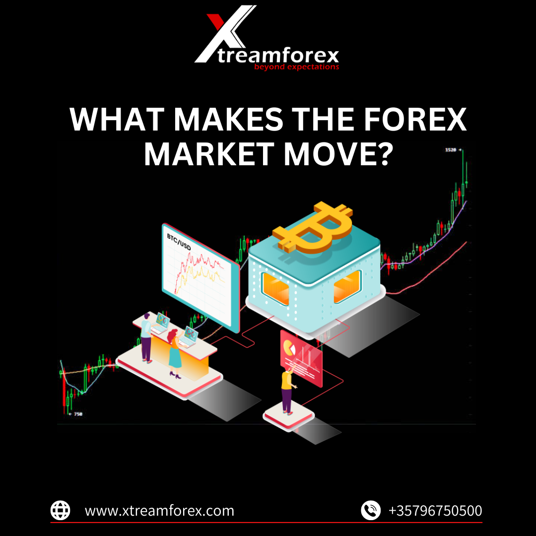 WHAT MAKES THE FOREX MARKET MOVE? - sukhrandhawa - Medium