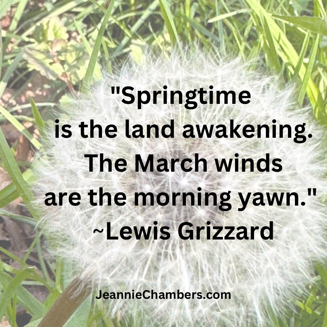 March Quotes #7. The awakening | by Jeannie.Chambers | Medium