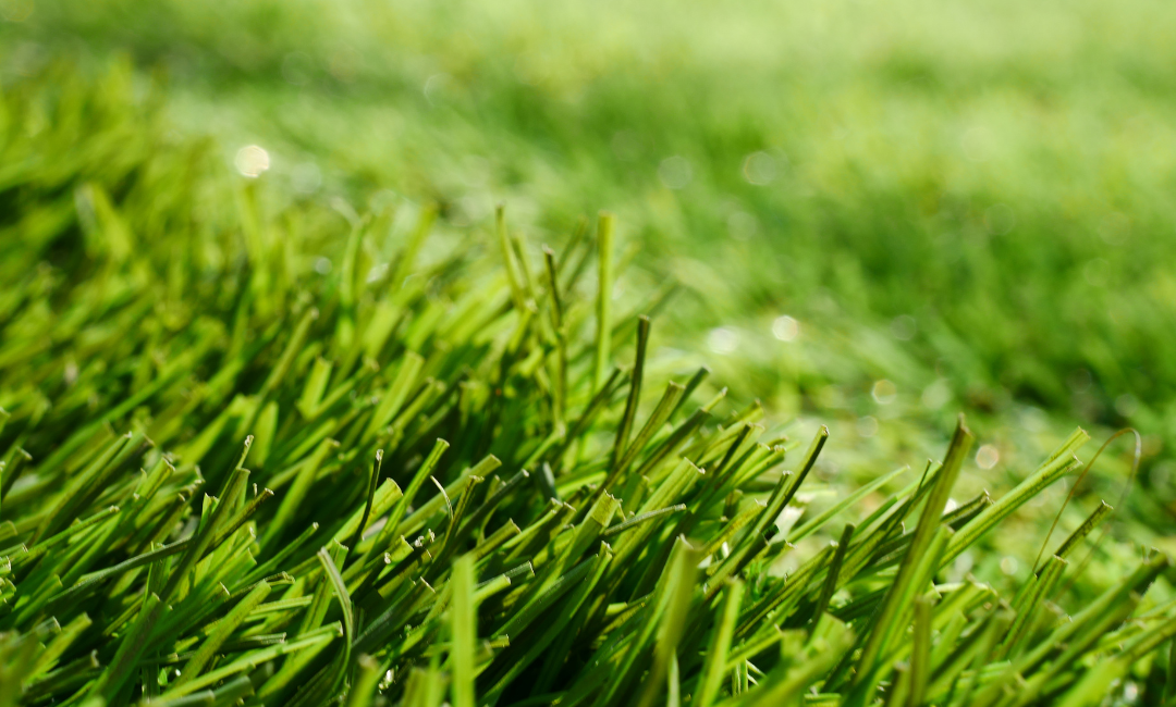 The Complete Comparison between Real and Artificial Grass - Artificial ...