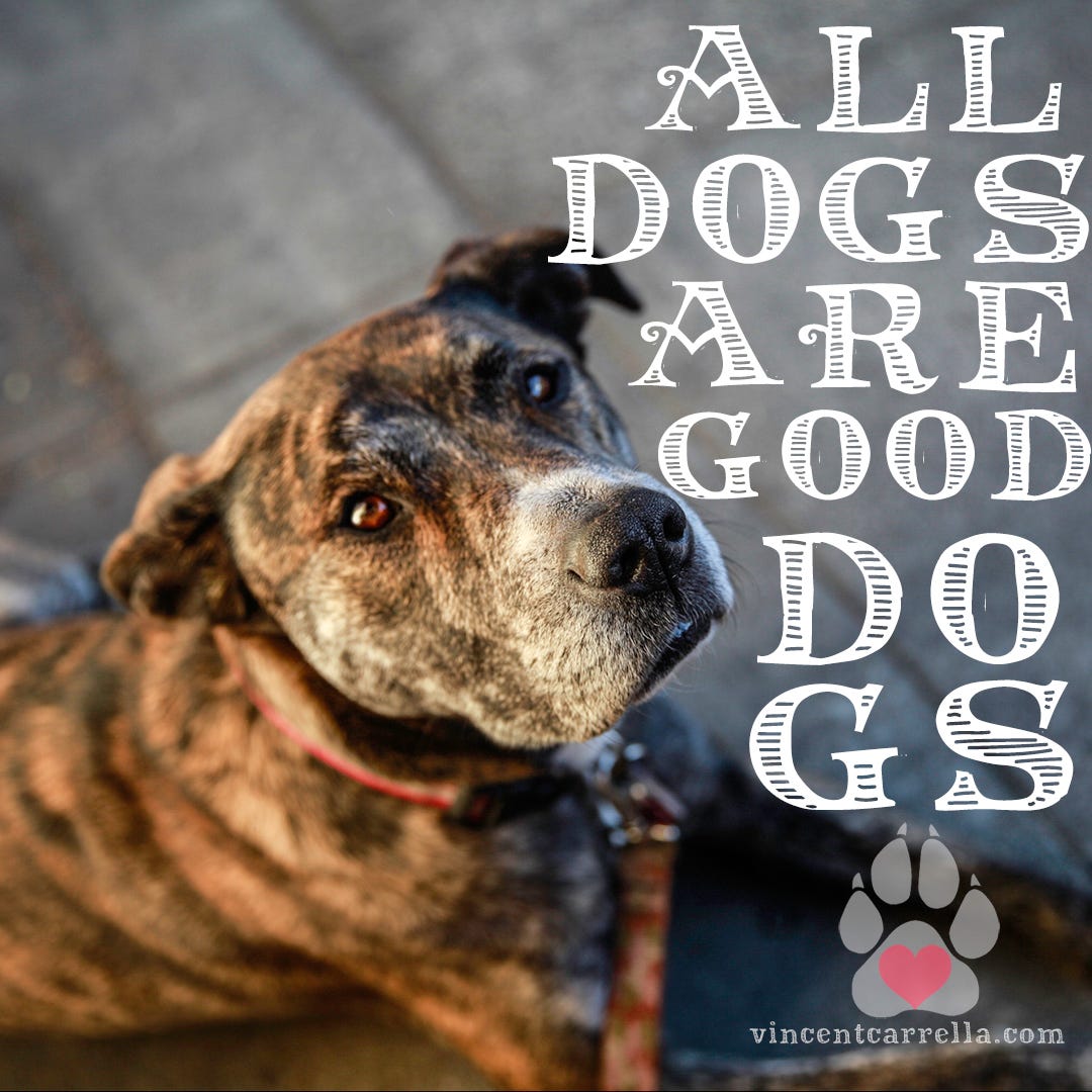 All Dogs Are Good Dogs. “Is he a good dog?” My daughter pointed… | by ...