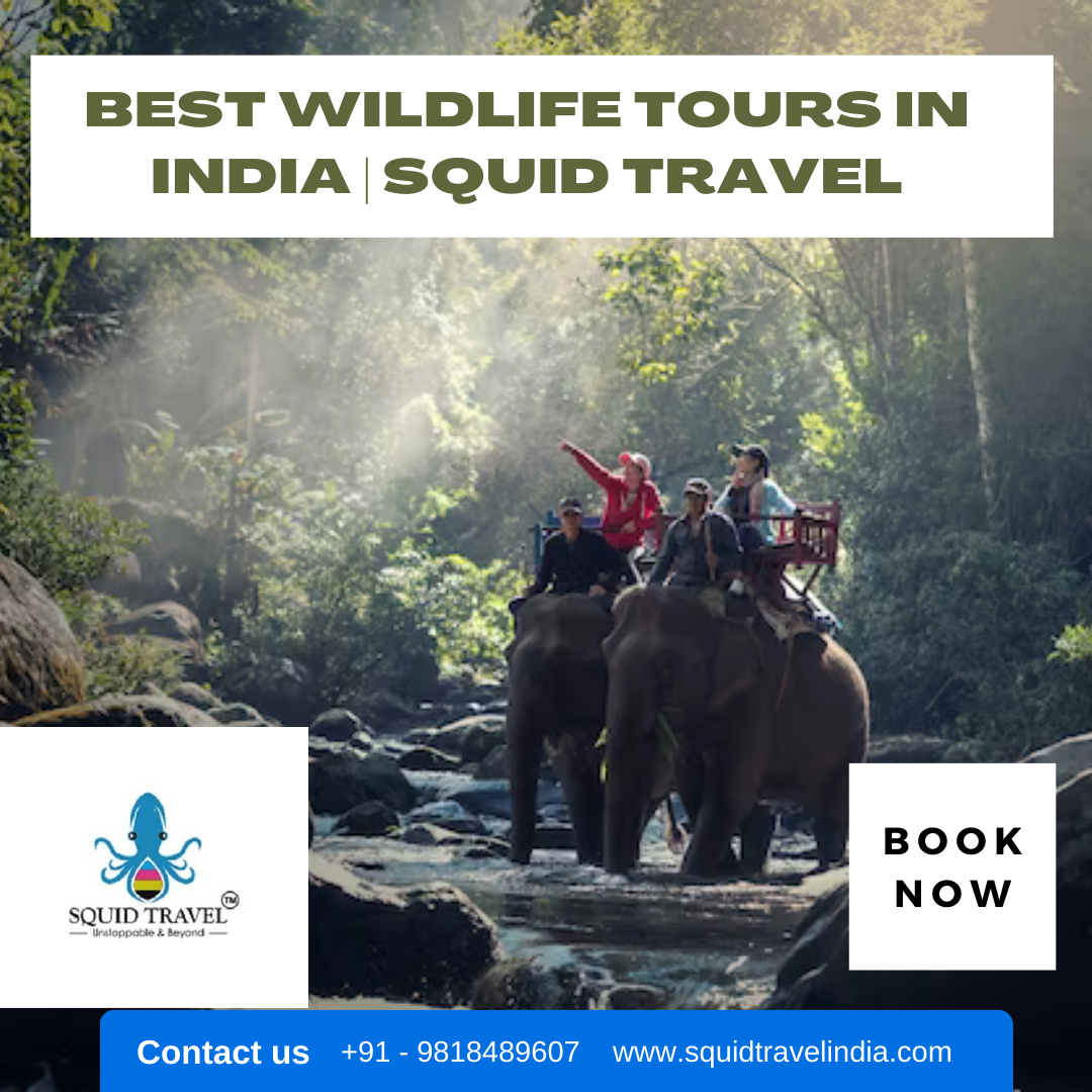 Best Wildlife Tours in India: Embark on an Extraordinary Journey with ...