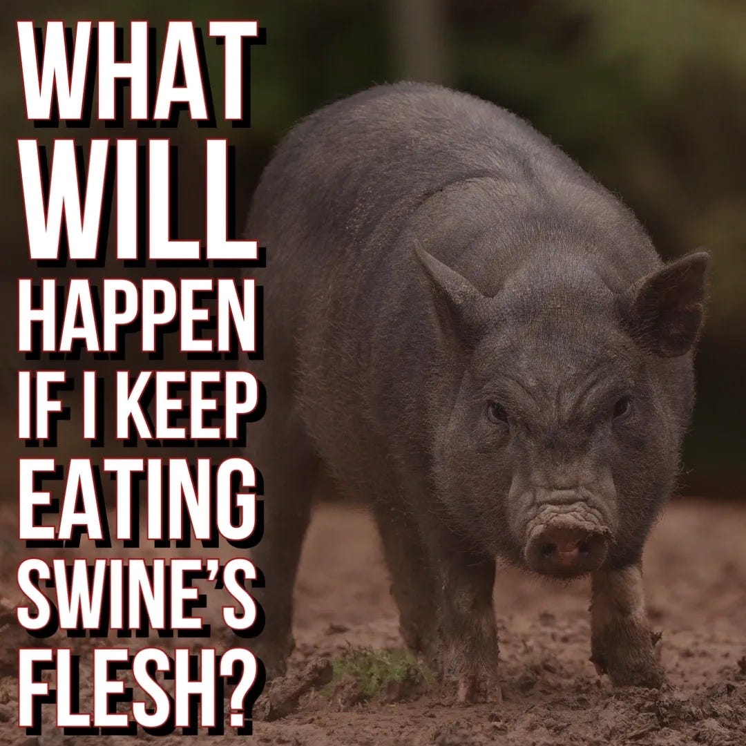 WHAT WILL HAPPEN IF I KEEP EATING SWINE’S FLESH? | by Moving Mindset ...