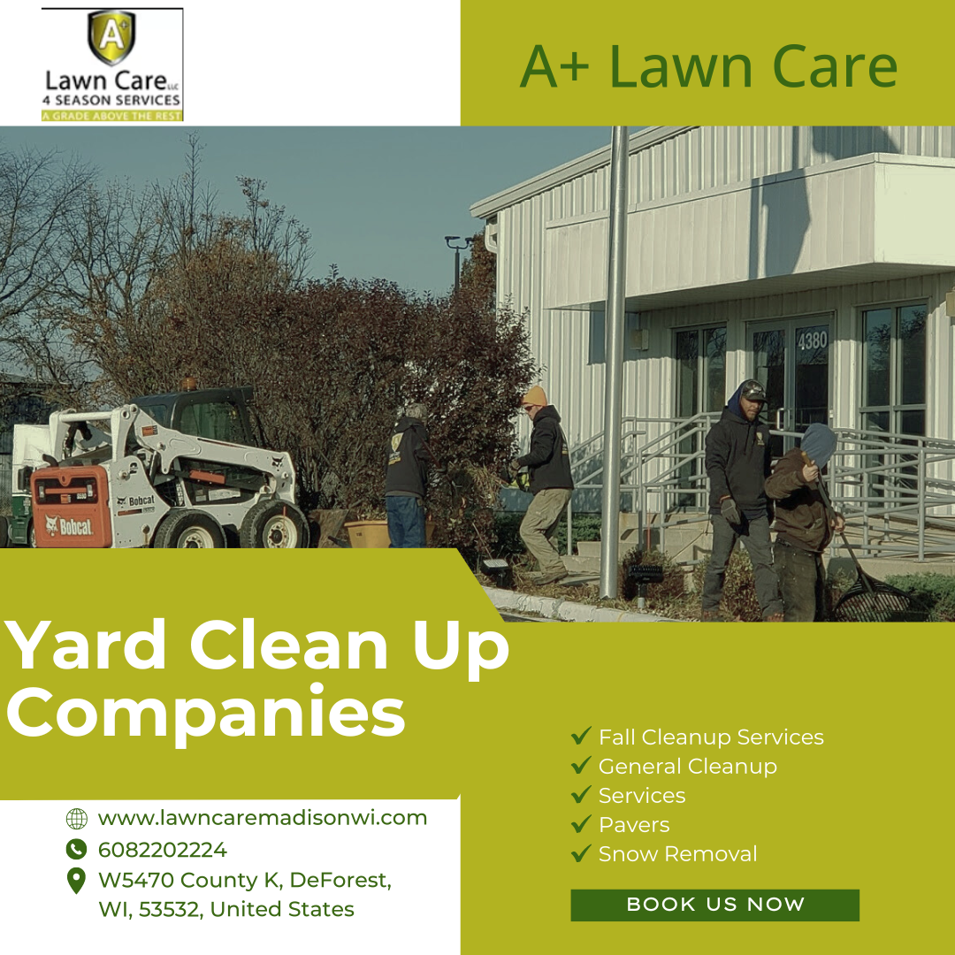 Revitalize Your Yard with Expert Advice from Clean Up Companies - A+ ...