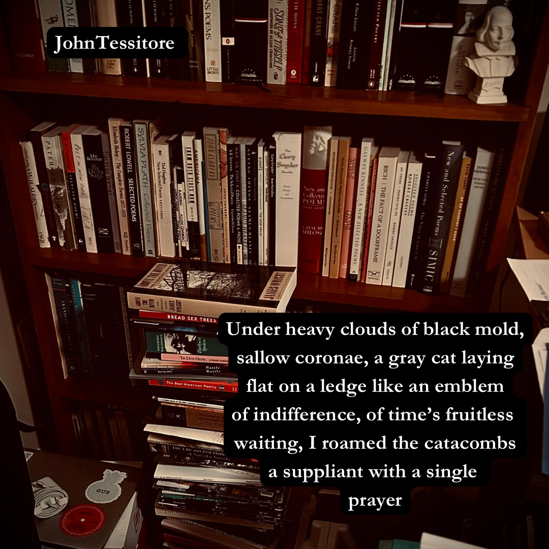 On Name Recognition and Artists With Day Jobs | by John E Tessitore ...