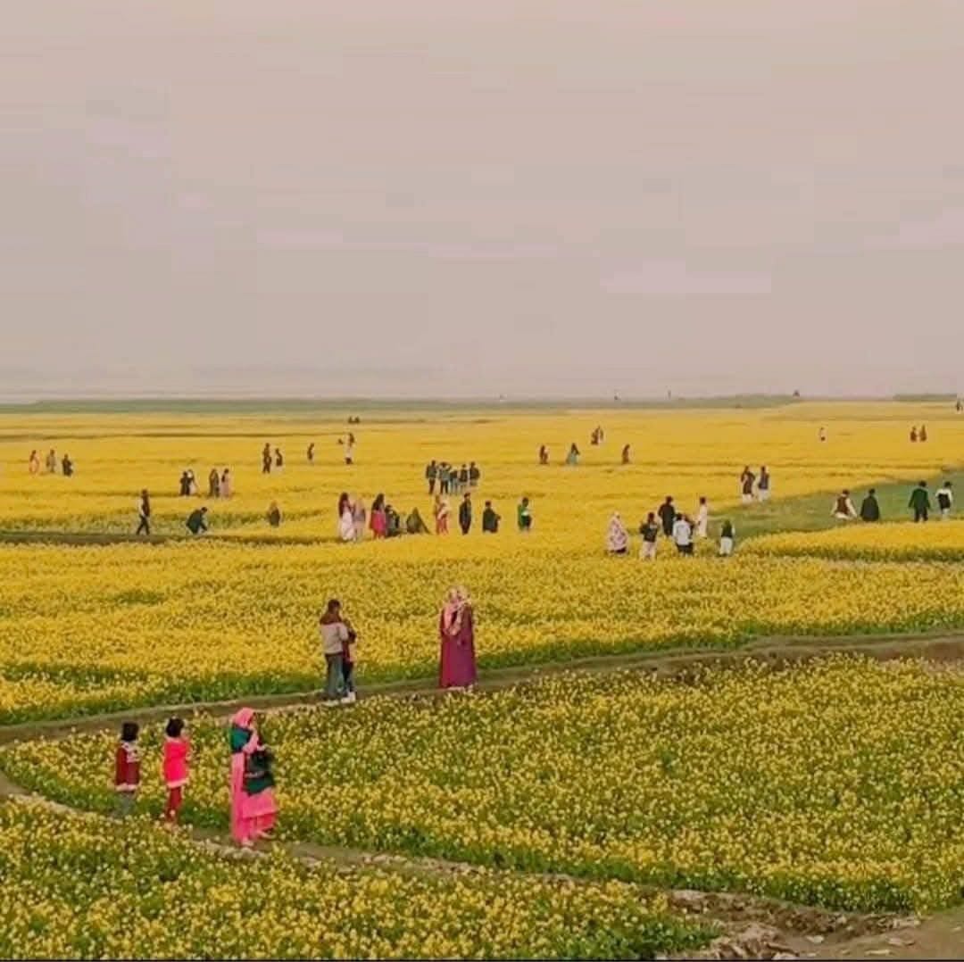 Who wants to break ties with the fields - Jogesh Dhaka - Medium