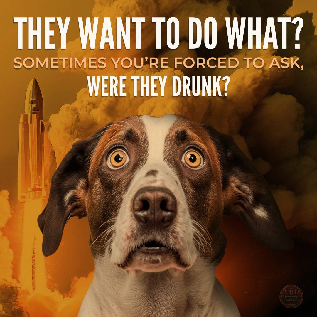 ICYMI: XOOX Wants to Shoot Pets into Space Aboard SpaceX (Really) | by The Pliers Club | Nov ...