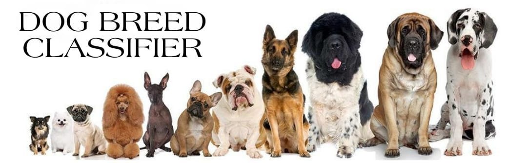 Dog Breed Prediction. In this project, we will see how to use… | by ...