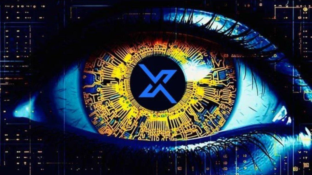 X Project: A Fresh Opportunity for Investors Before the Next Bull Run ...