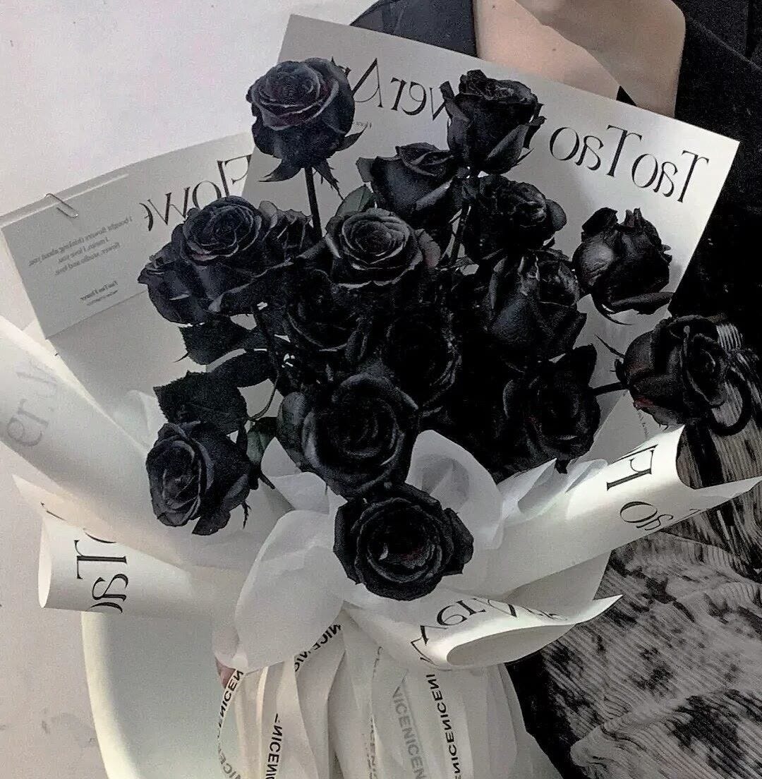 Rose. Abhi tidak duduk satu meja dengan… | by `H O O N I E | Medium