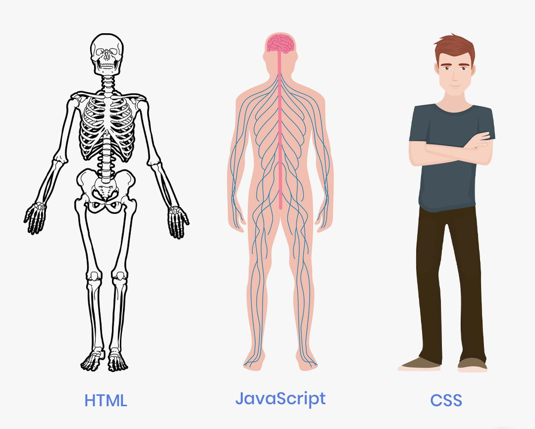 Html Dasar - sdimasfitra - Medium
